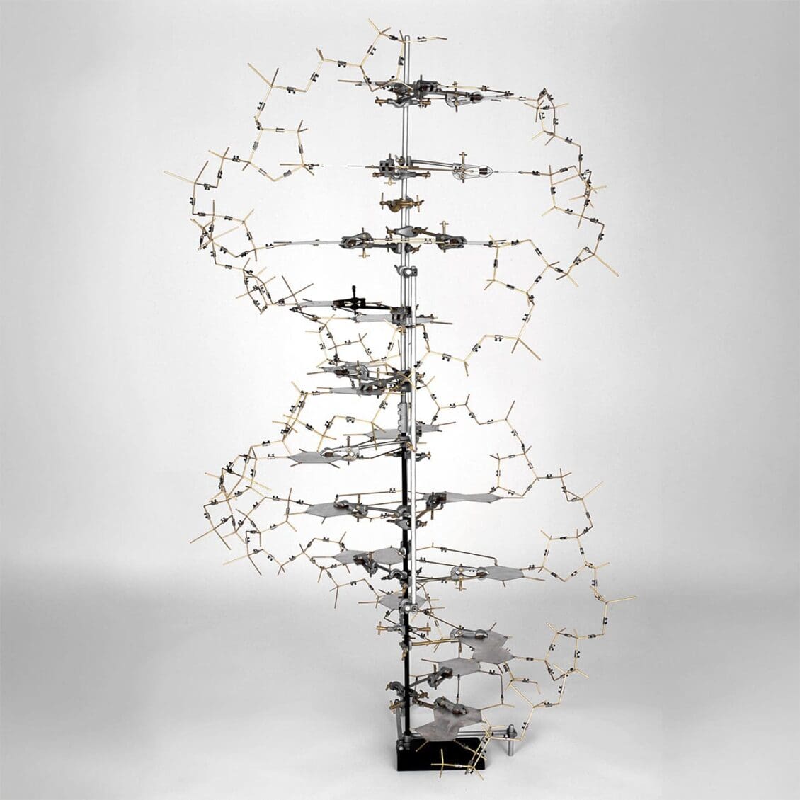 James Watson (1928 – 2025) | MRC Laboratory of Molecular Biology