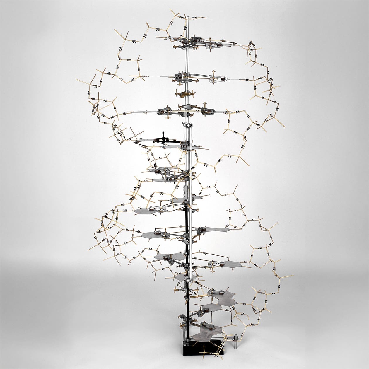 James Watson (1928 – 2025) | MRC Laboratory of Molecular Biology