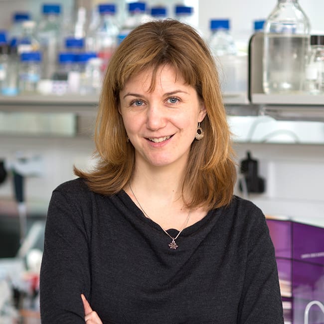 Wanda Kukulski | MRC Laboratory of Molecular Biology