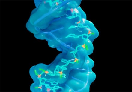 Protein and Nucleic Acid Chemistry | MRC Laboratory of Molecular Biology