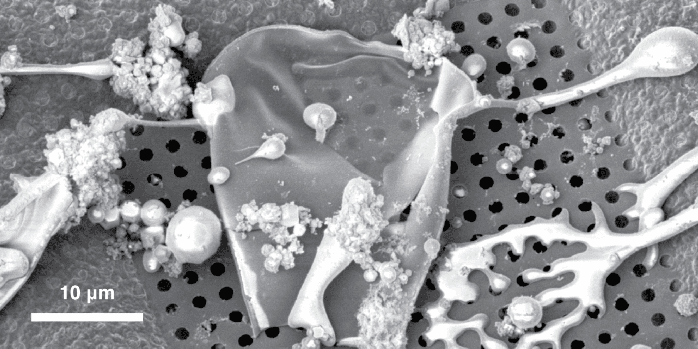 A new method to prepare cryo-EM samples avoids protein damage during ...