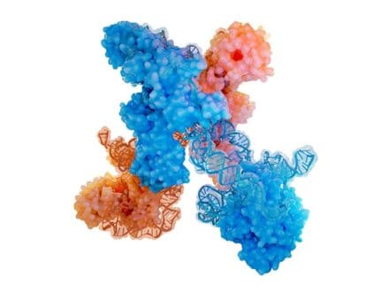 Science | MRC Laboratory of Molecular Biology